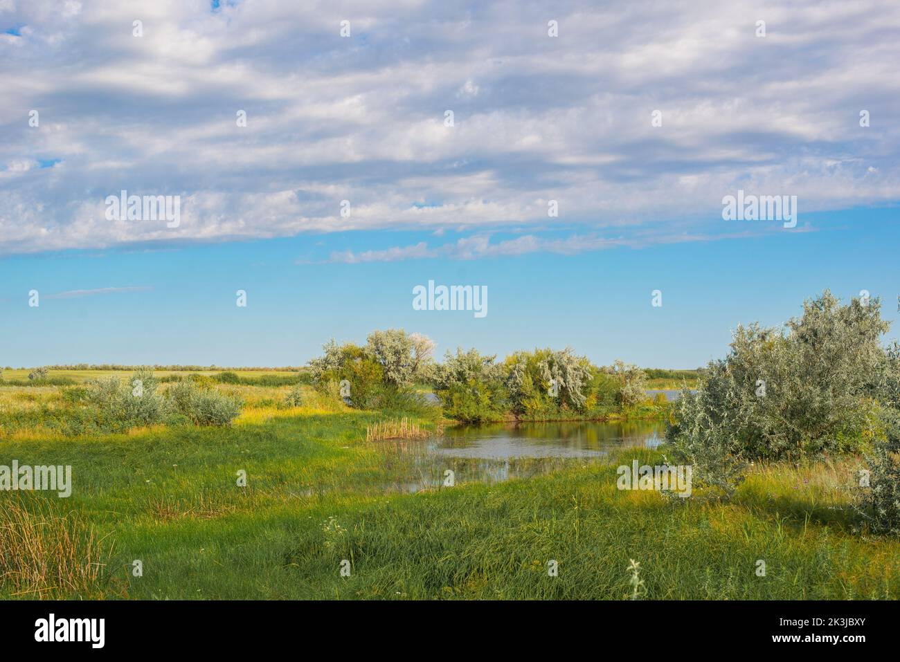 green steppe with clouds and blue sky in Kazakhstan Stock Photo - Alamy