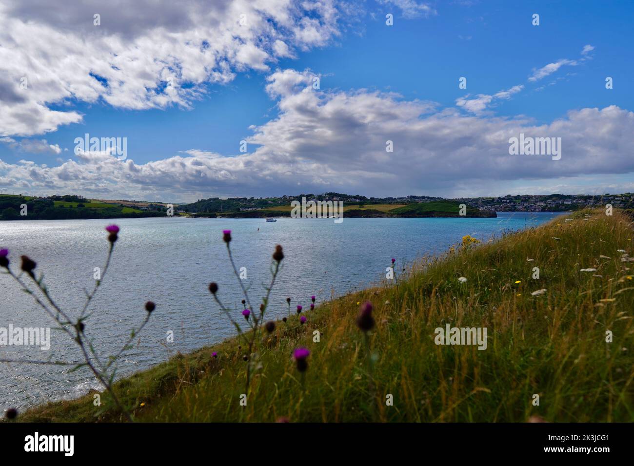 A beautiful shot of fields by the sea in the daytime Stock Photo - Alamy