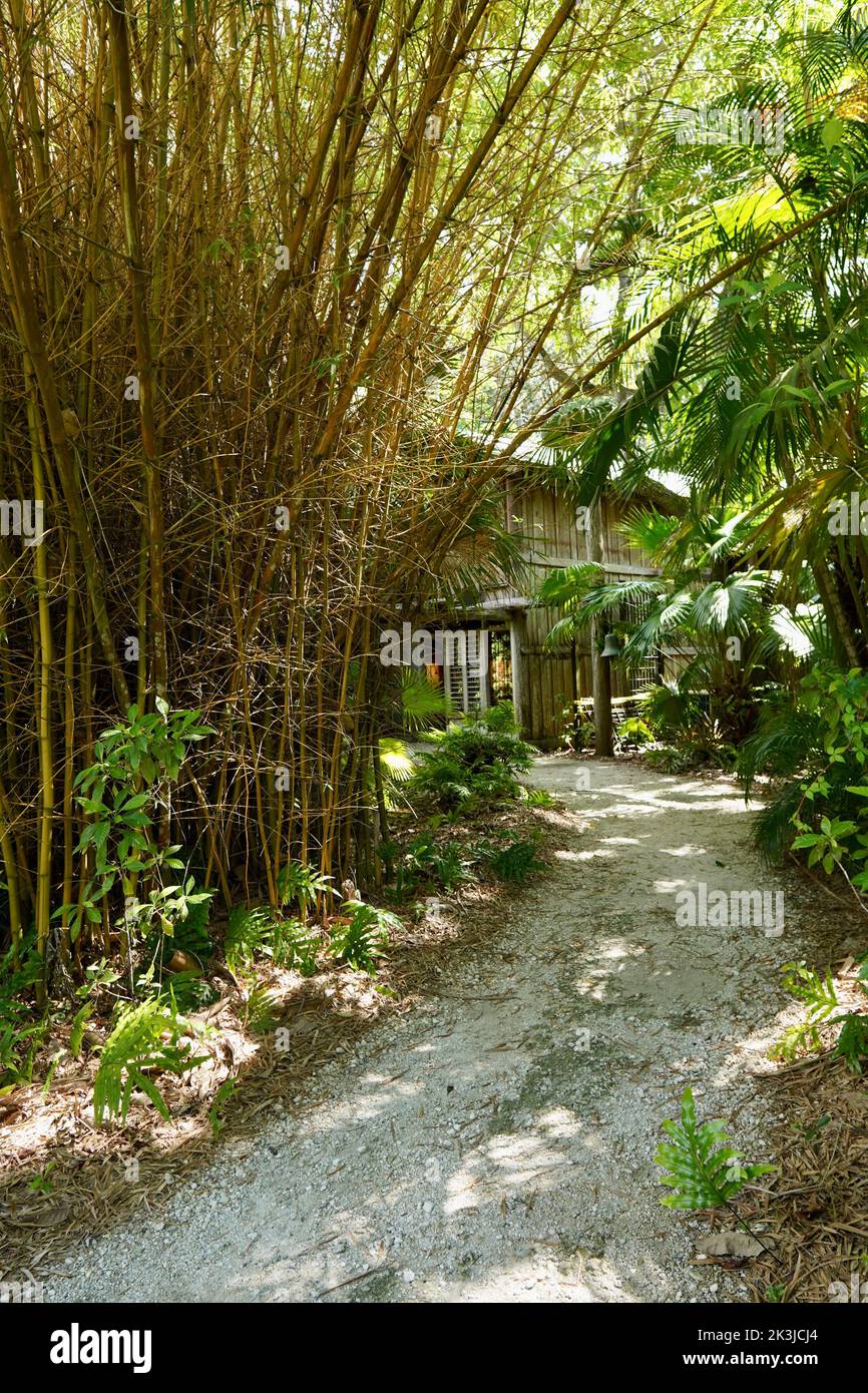 House between the trees hi-res stock photography and images - Alamy