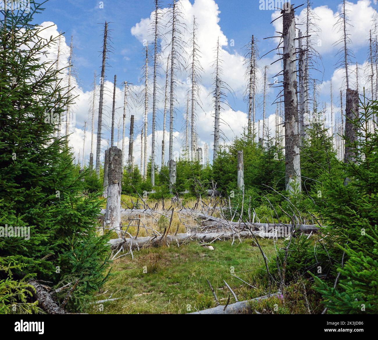 Wandergebiet harz hi-res stock photography and images - Alamy