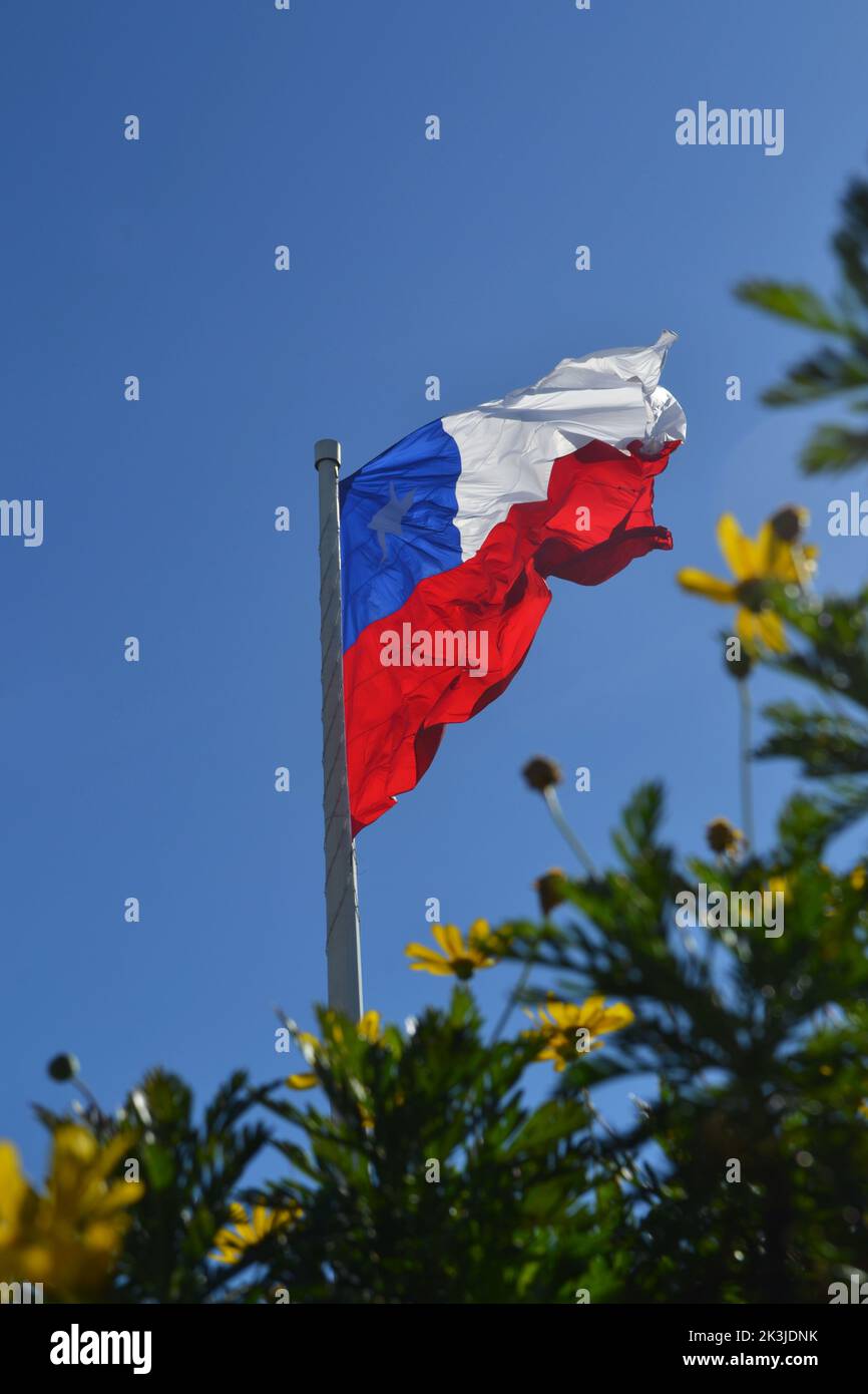 A low angle of flag of Chile against blue sky Stock Photo - Alamy