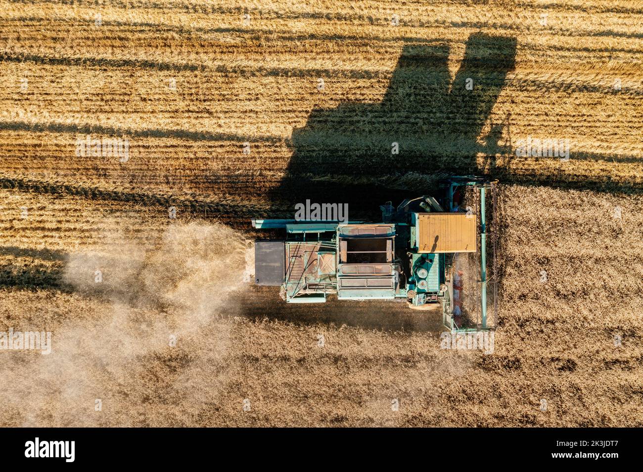 Combine harvester harvesting wheat at the field aerial view Stock Photo ...