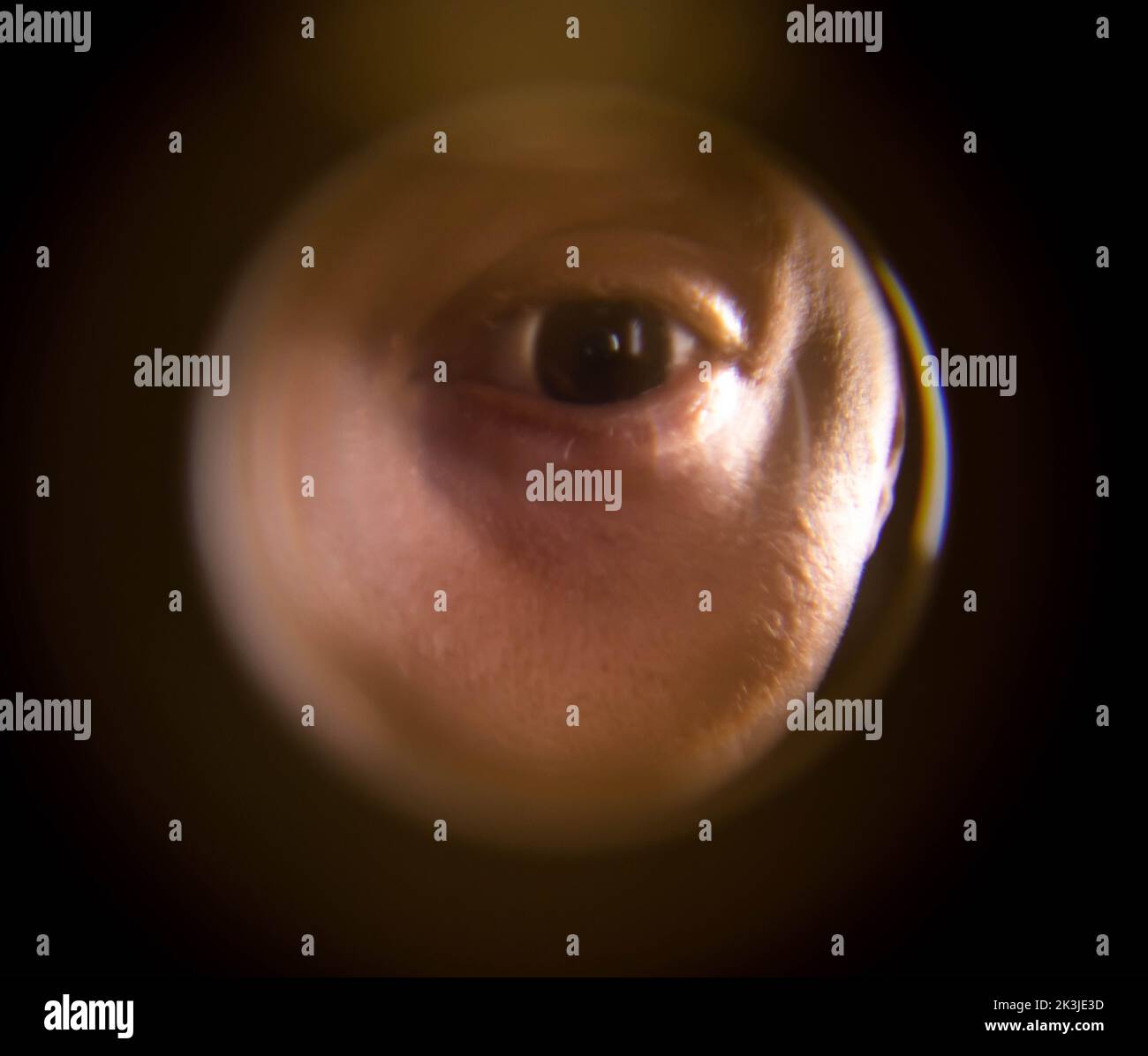 View from the peephole. The human eye looks through the peephole from ...