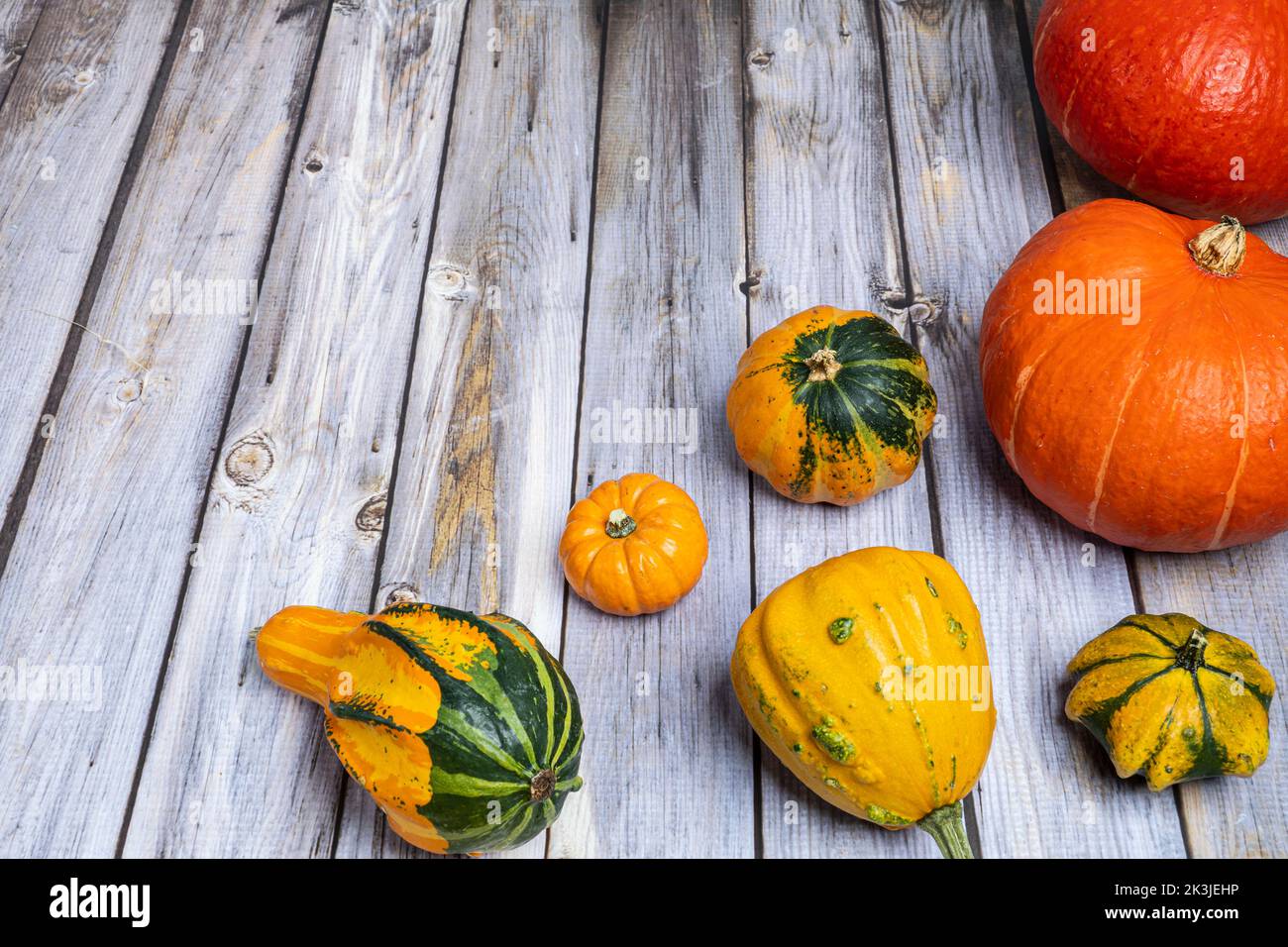 ornamental decorative gourds and Hokkaido gourds on an old tabletop ...