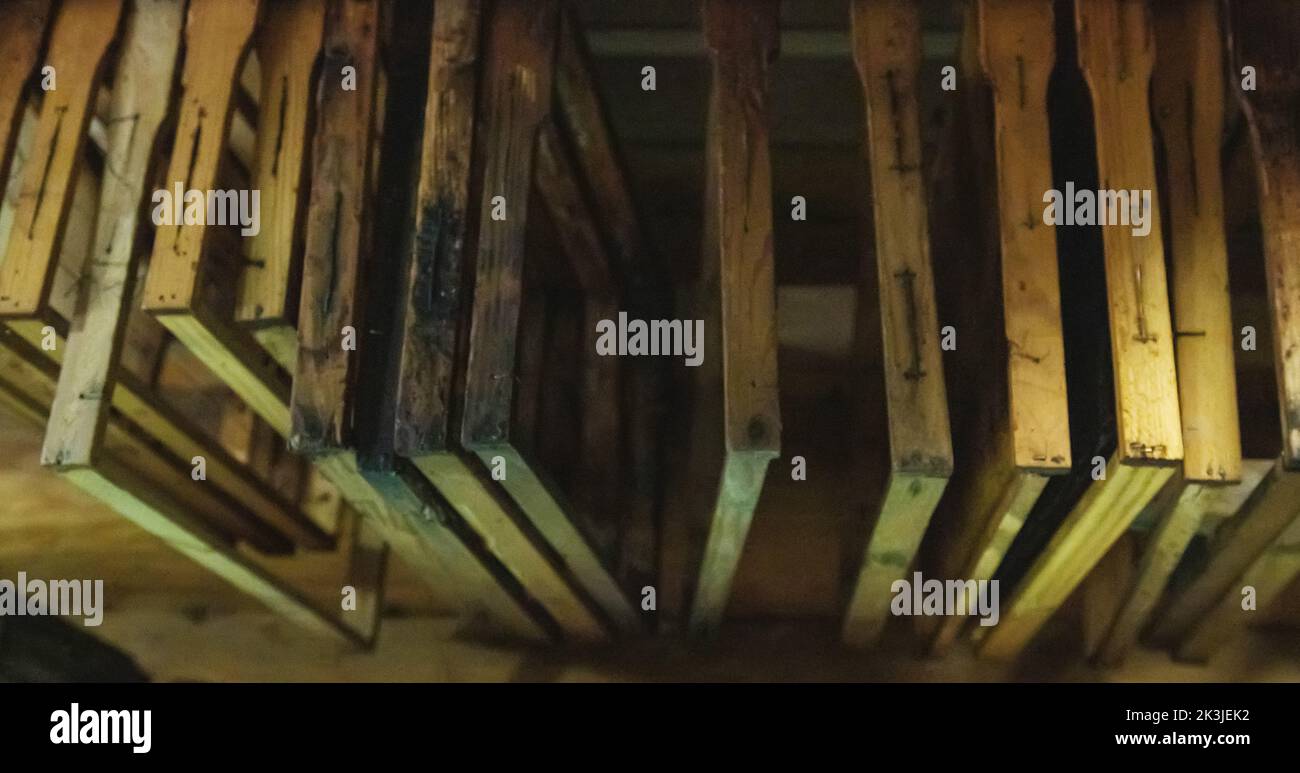 Bee frames with sealed combs and honey hang in the shed. Breeding bees ...