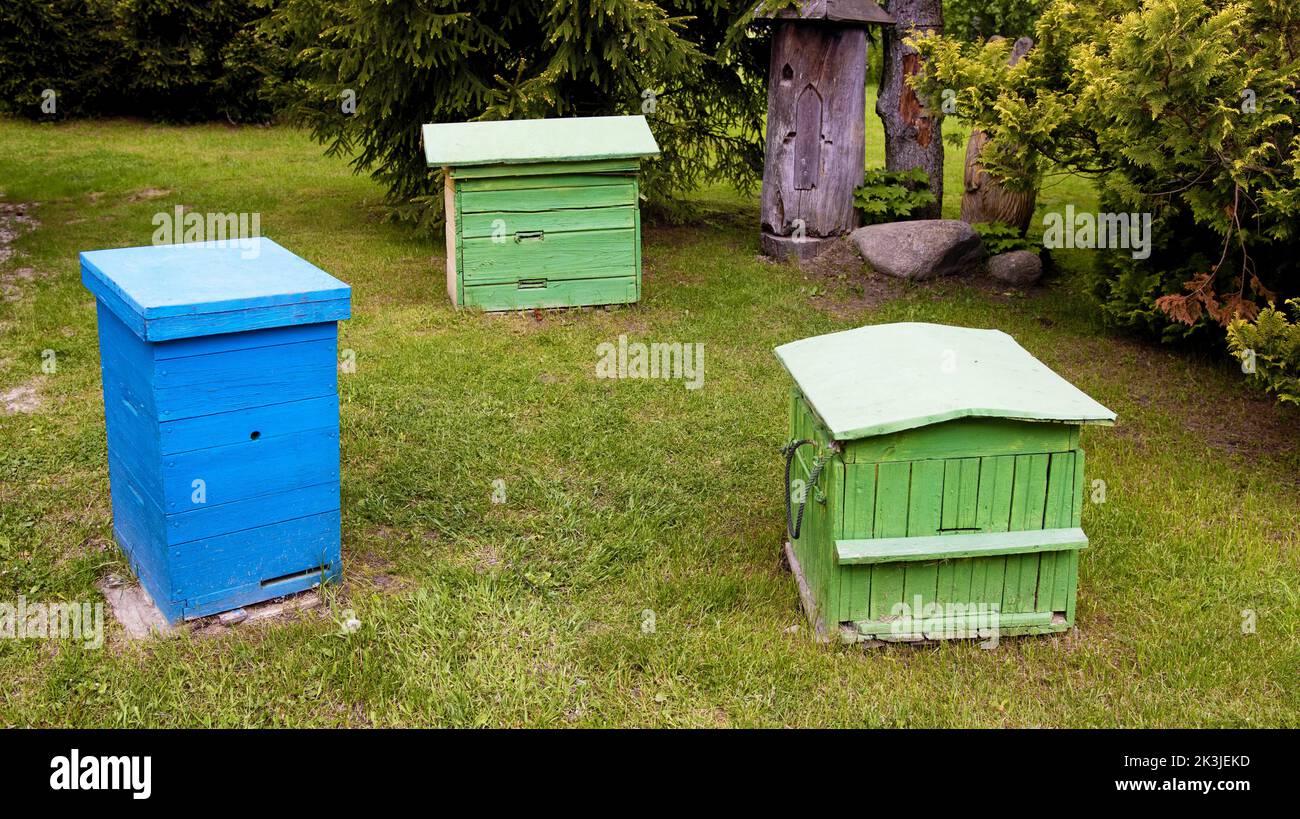 An apiary for breeding bees and extracting forest honey. Apiculture ...