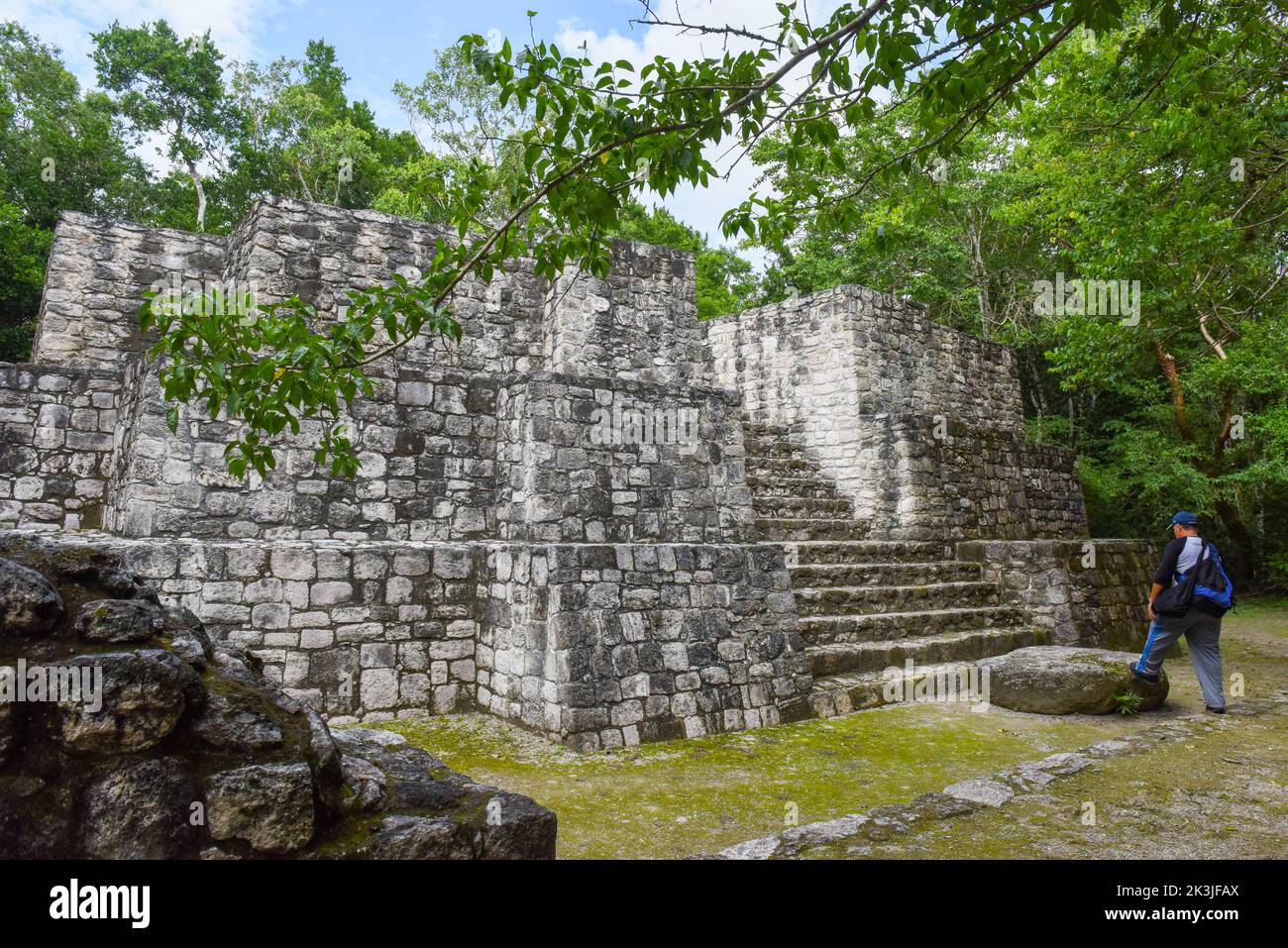 Calakmul, Mayan archaeological site, Campeche state, Mexico Stock Photo ...