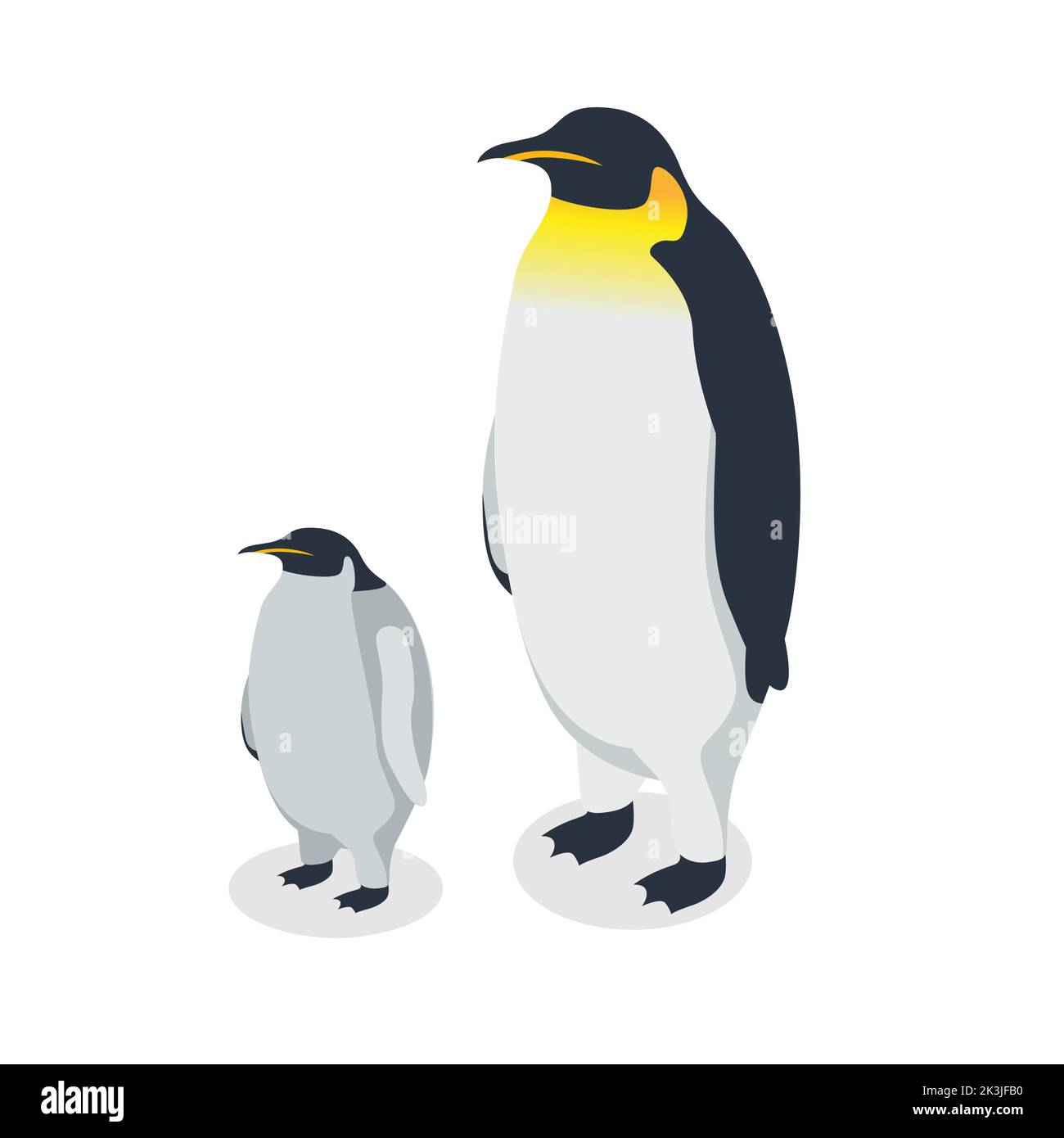 Isometric penguin. King penguin with chick on white background Stock ...