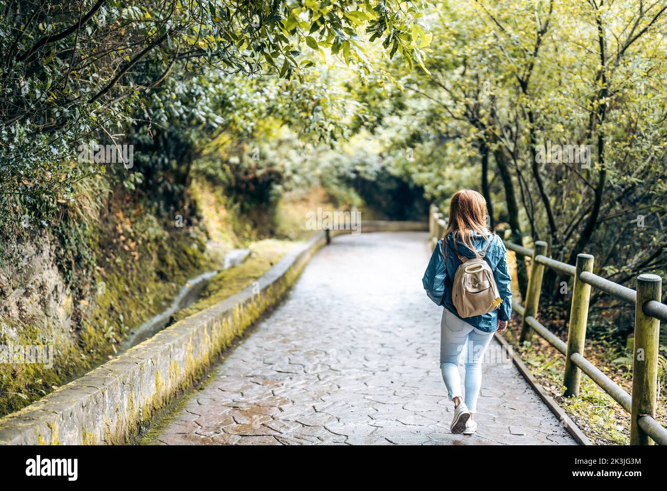 woman hiking on a path between trees and with a wooden railing Stock ...