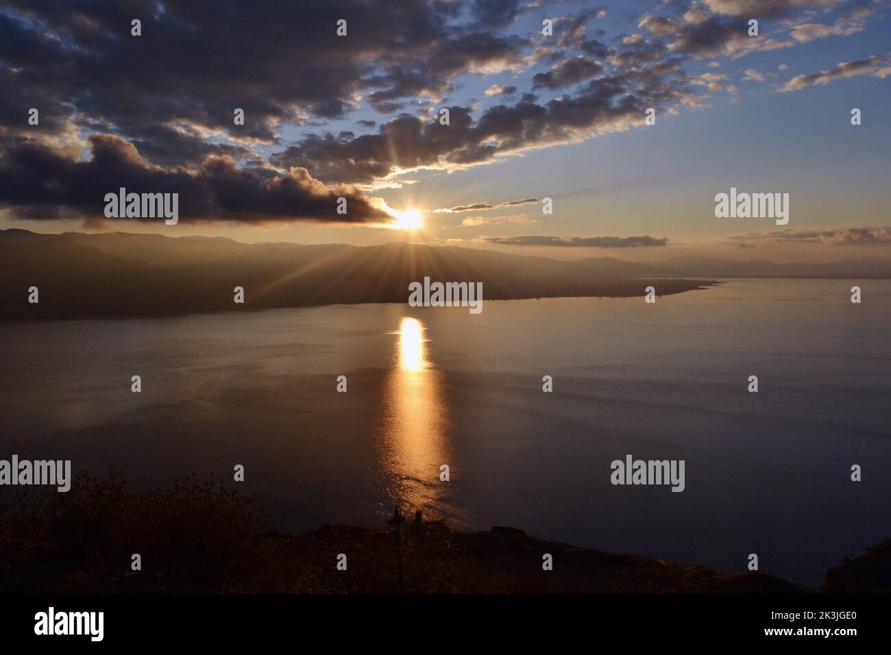 Trichonida hi-res stock photography and images - Alamy