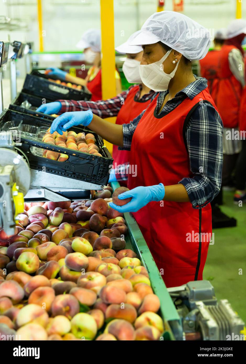 Sorting fruits hi-res stock photography and images - Alamy