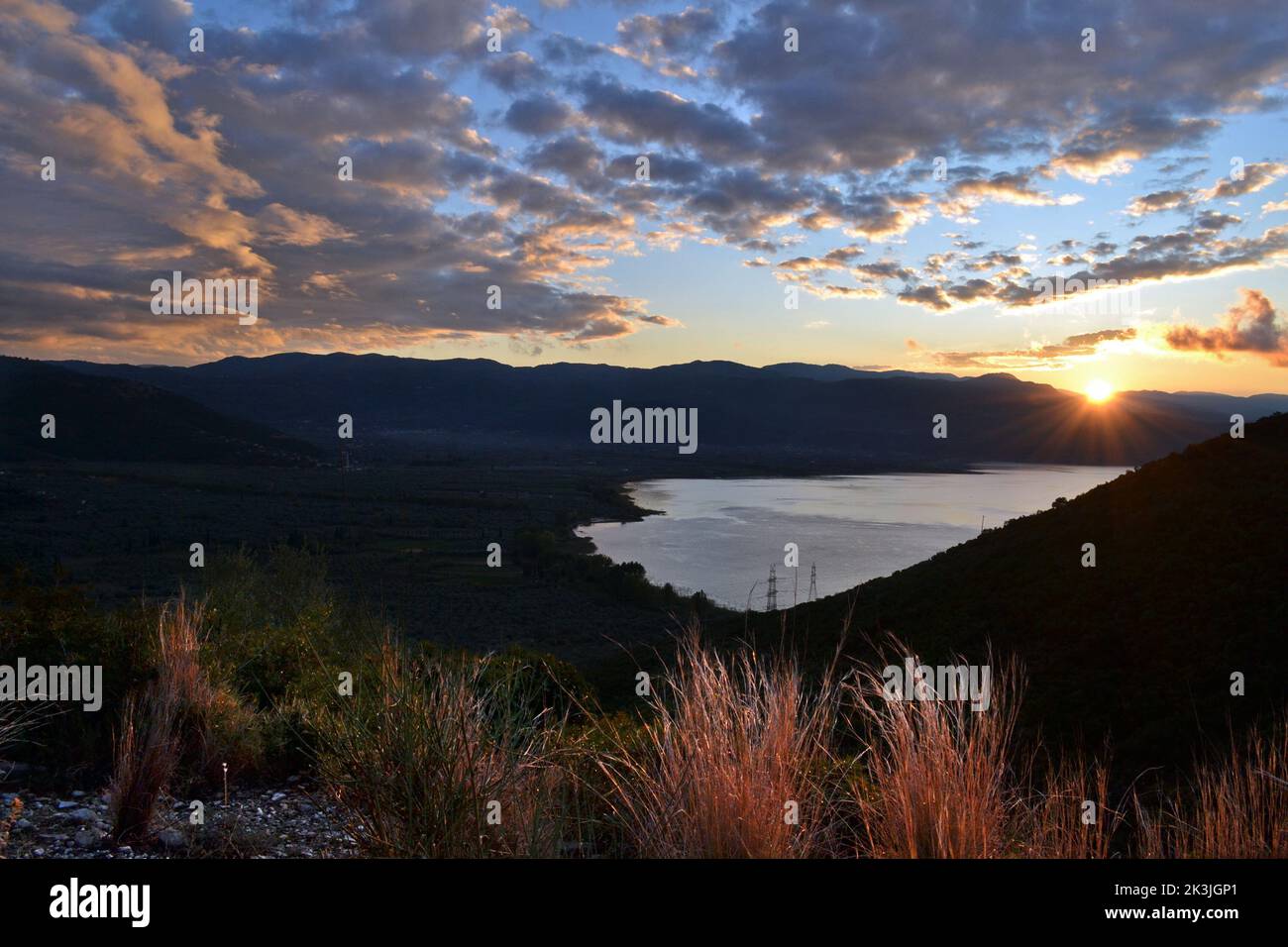 Trichonida hi-res stock photography and images - Alamy