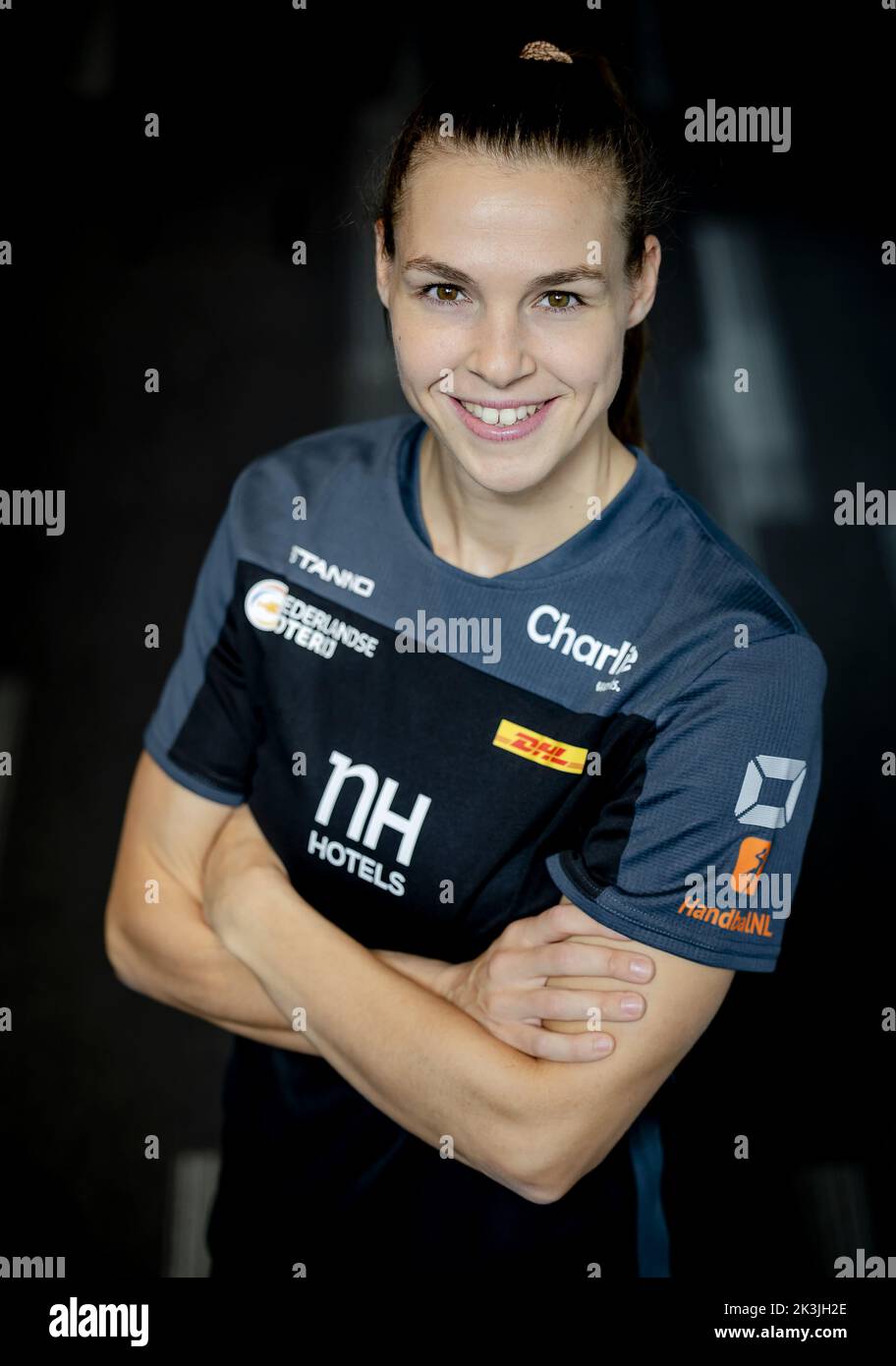 Robin portrait of a robin in the netherlands hi-res stock photography ...