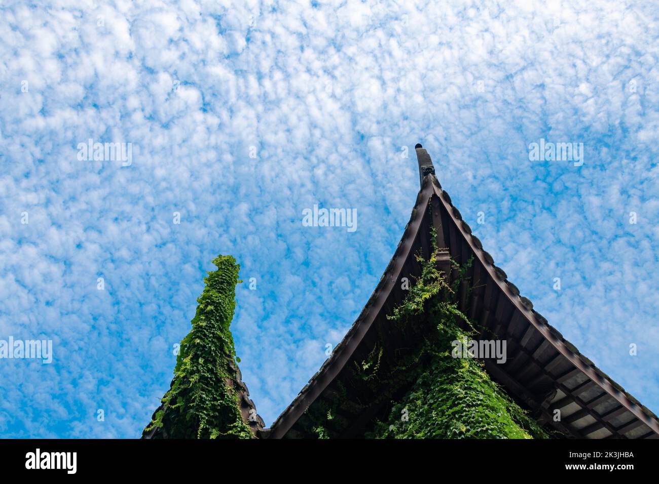 A corner of a building in Zuibaichi Park, Shanghai, China Stock Photo ...