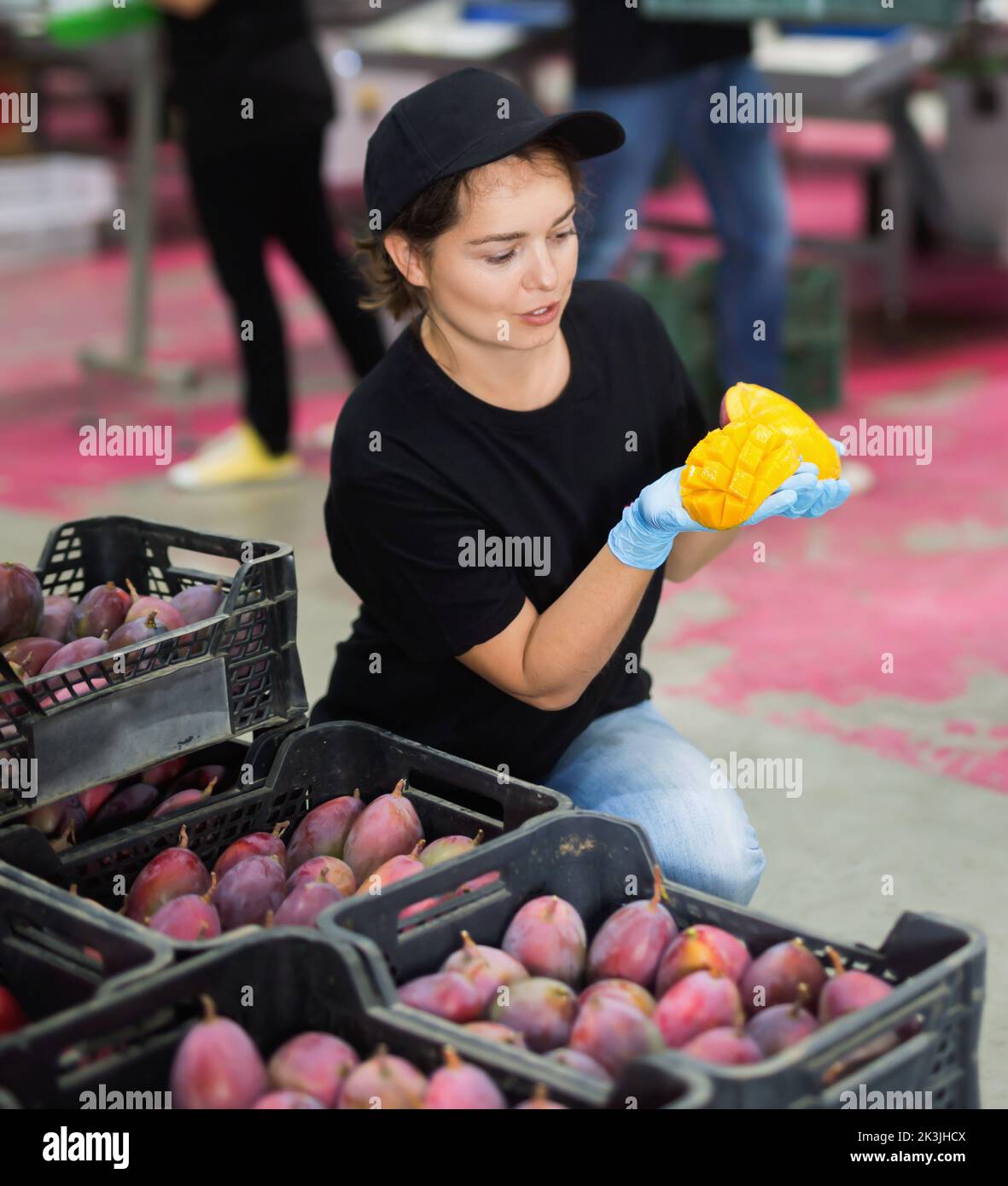 Positive woman with mango slices in hands at food factory warehouse ...