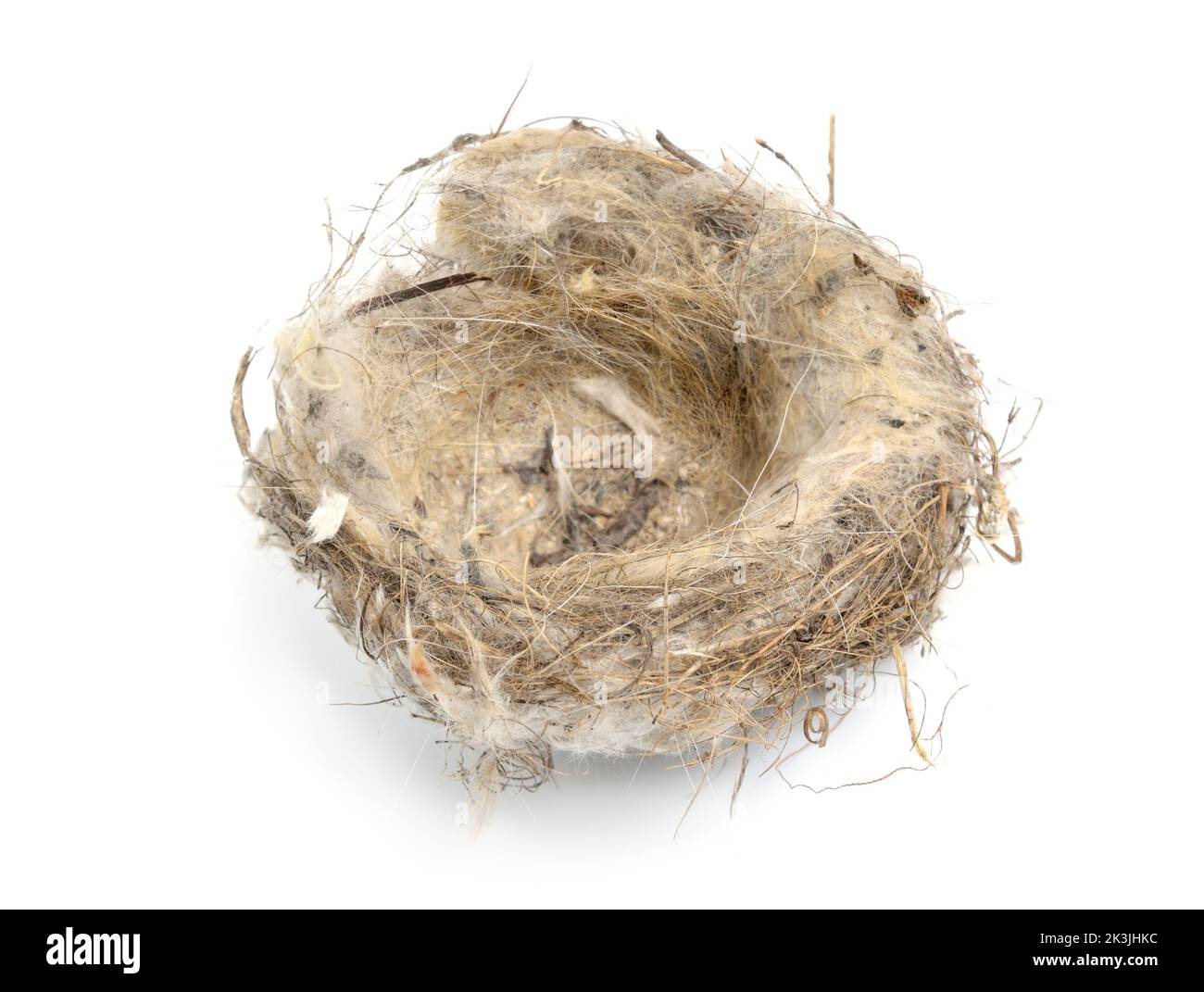 True bird's nest isolated on white background Stock Photo - Alamy