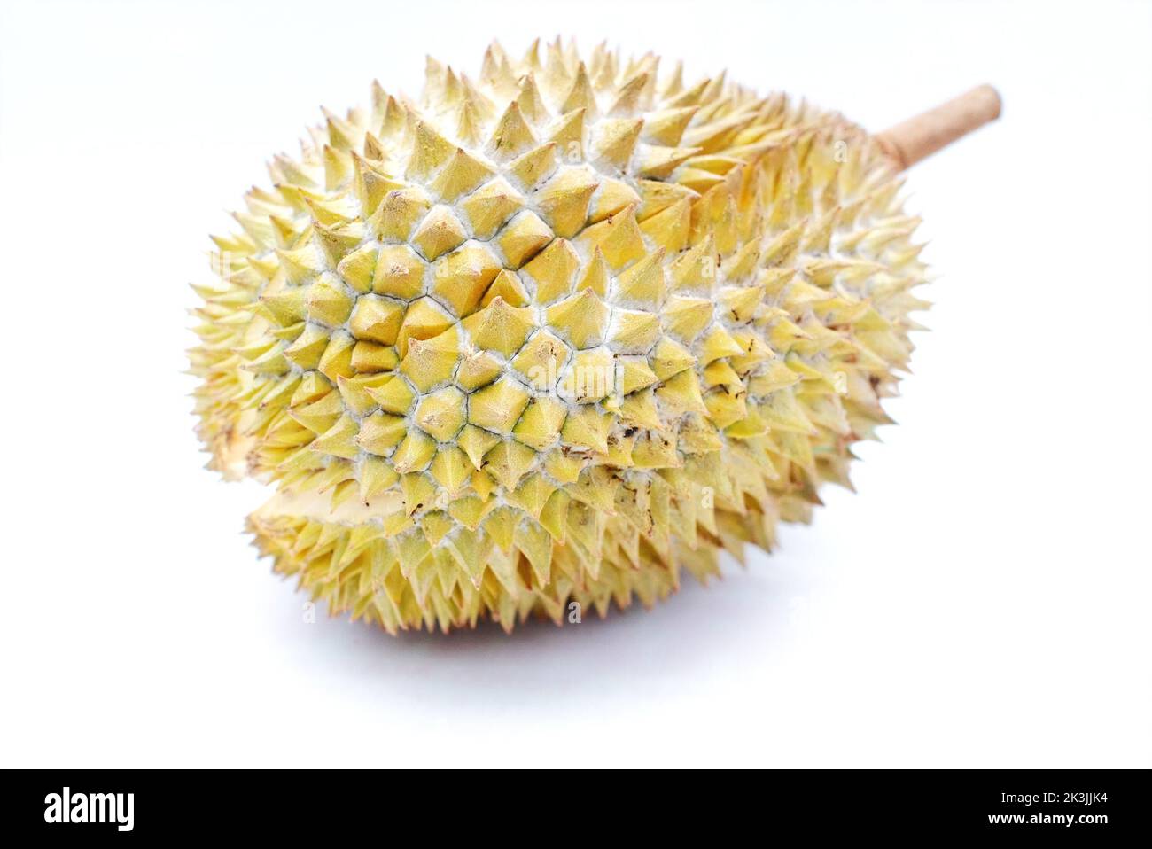 Durian fruit - Close up detail of the durian fruit. Durian fruit ...