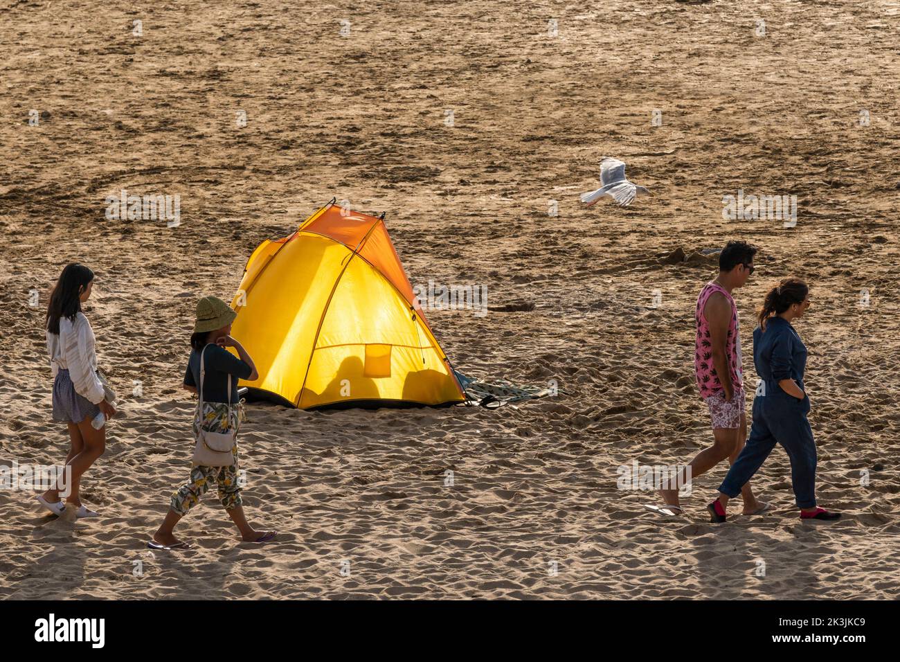 A seagull flying over holidaymakers walking past a bright yellow beach ...