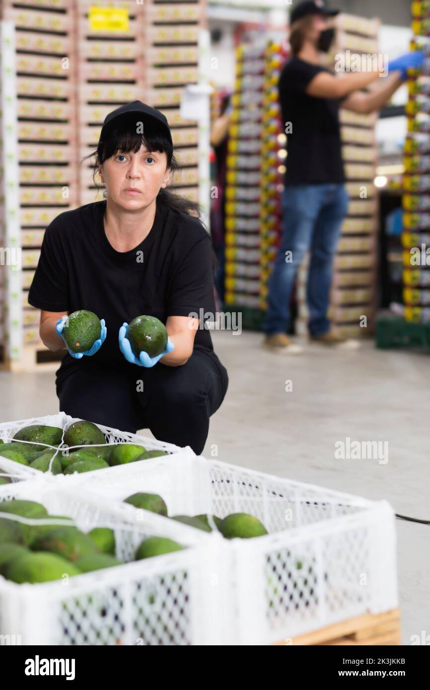 Mango juice processing hi-res stock photography and images - Alamy