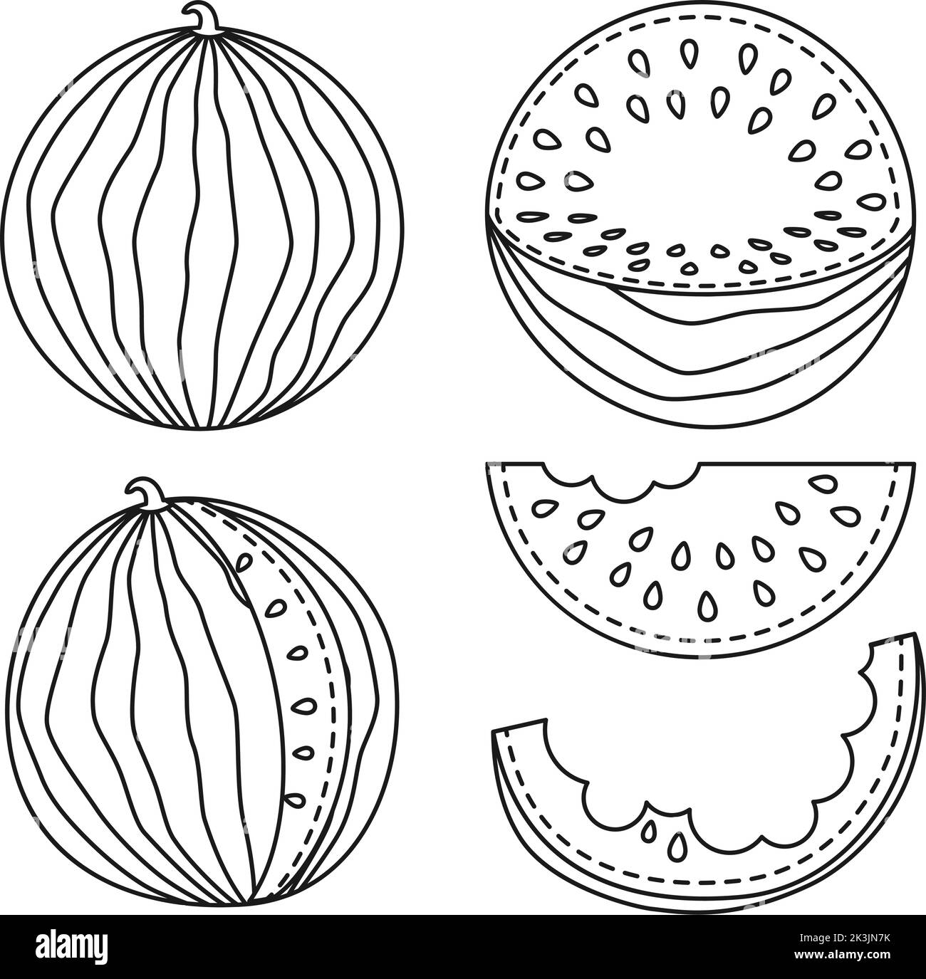 Line art collection of 5 elements Ripe watermelons Healthy vegan food ...