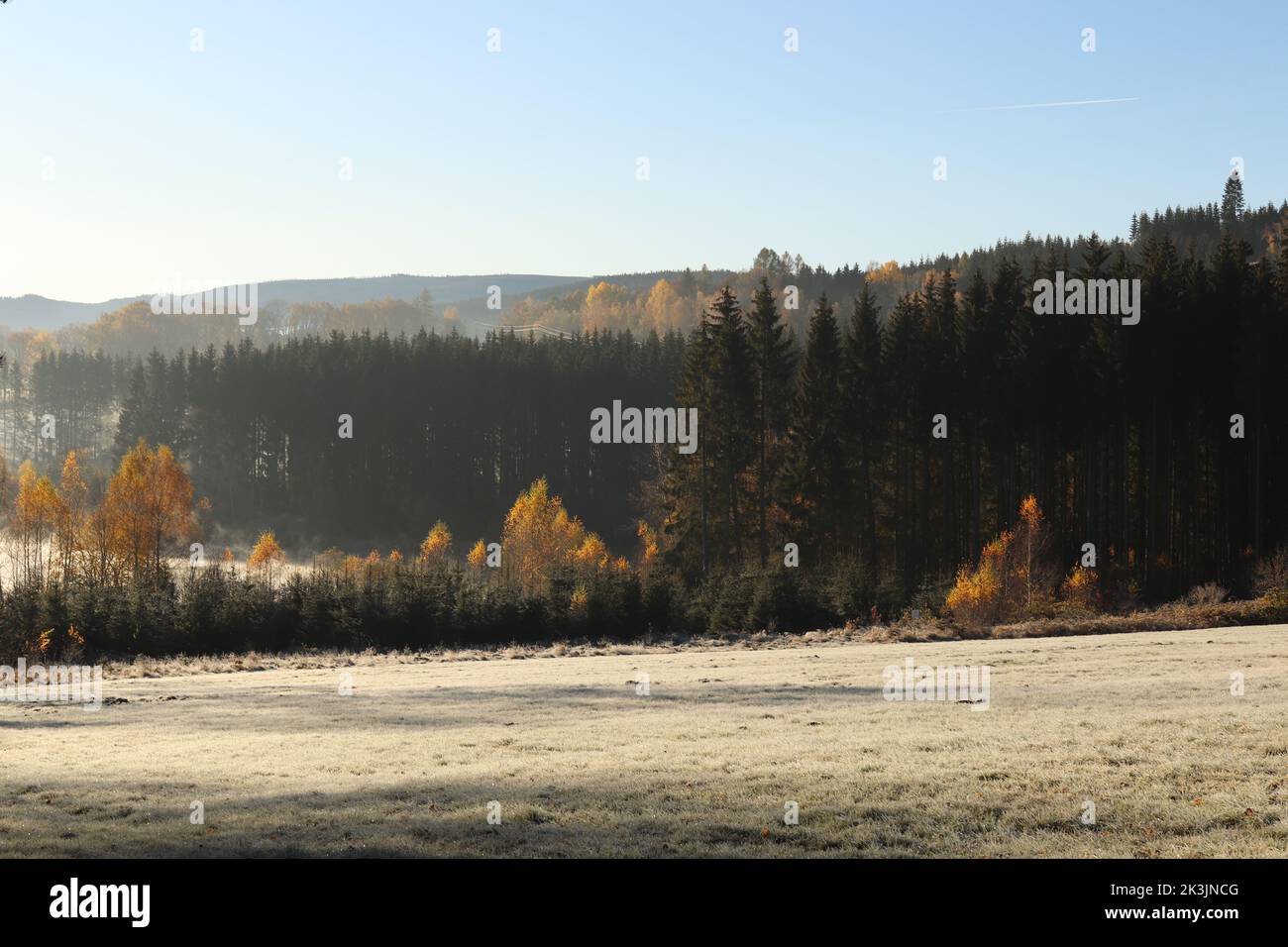 November in Bohemian forest Stock Photo - Alamy
