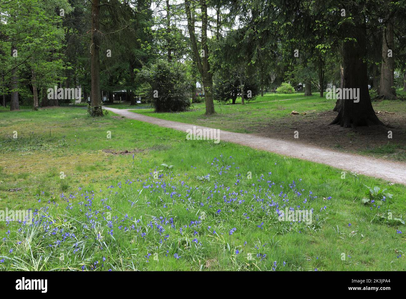 Spring colours in Lynford Arboretum, Lynford Hall, Lynford village near ...
