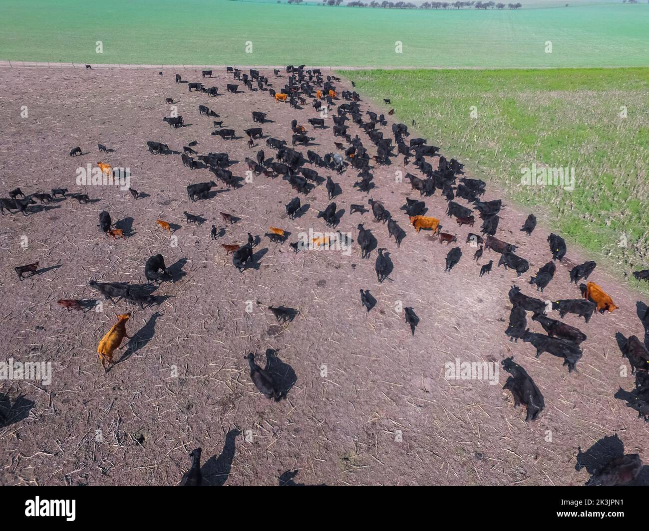 Argentina pampas aerial hi-res stock photography and images - Alamy