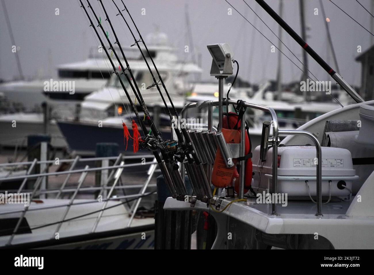 detail of many fishing rod on a boat Stock Photo - Alamy