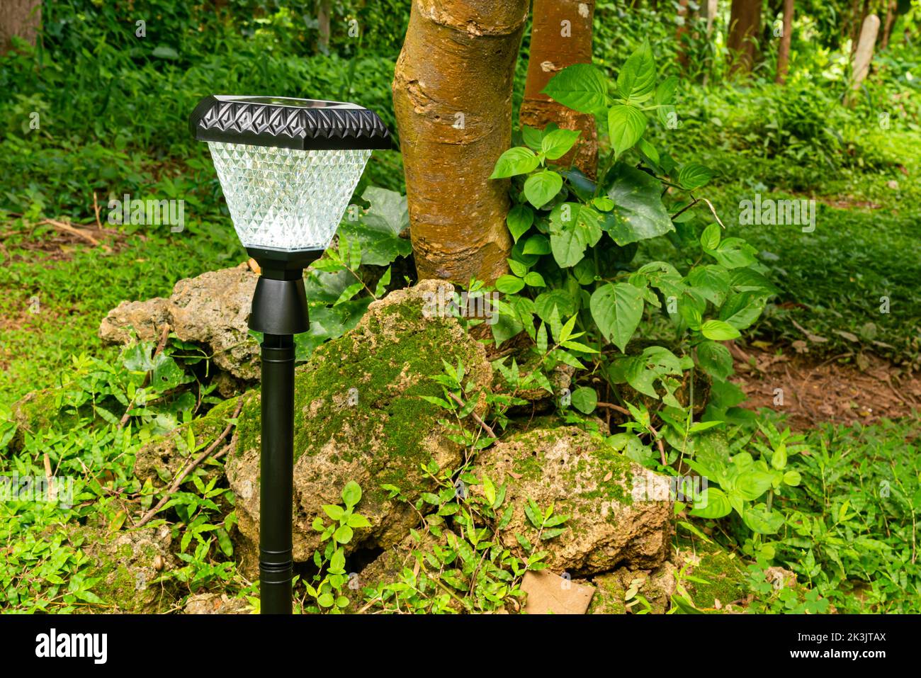 View of led lighting solar lamp turn on in daytime at a tree and pile ...