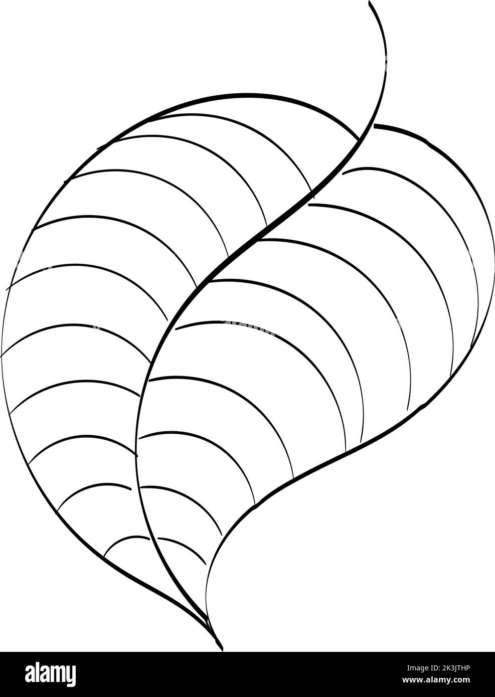 Autumn Leaf Design. Season nature ornament garden decoration. Idea for ...