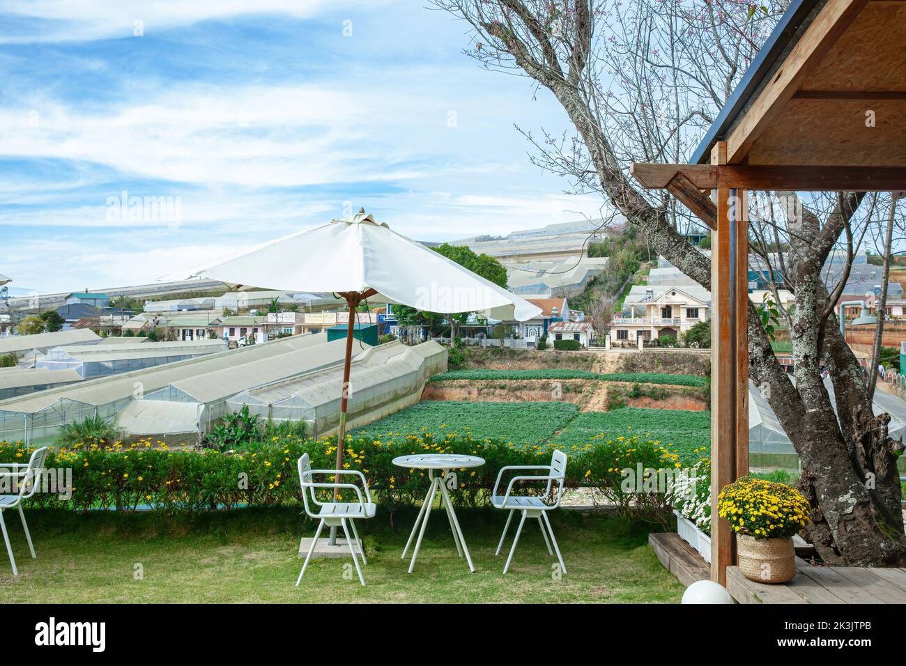 Beautiful landscape with tree and flower in the garden in Da Lat Lam ...