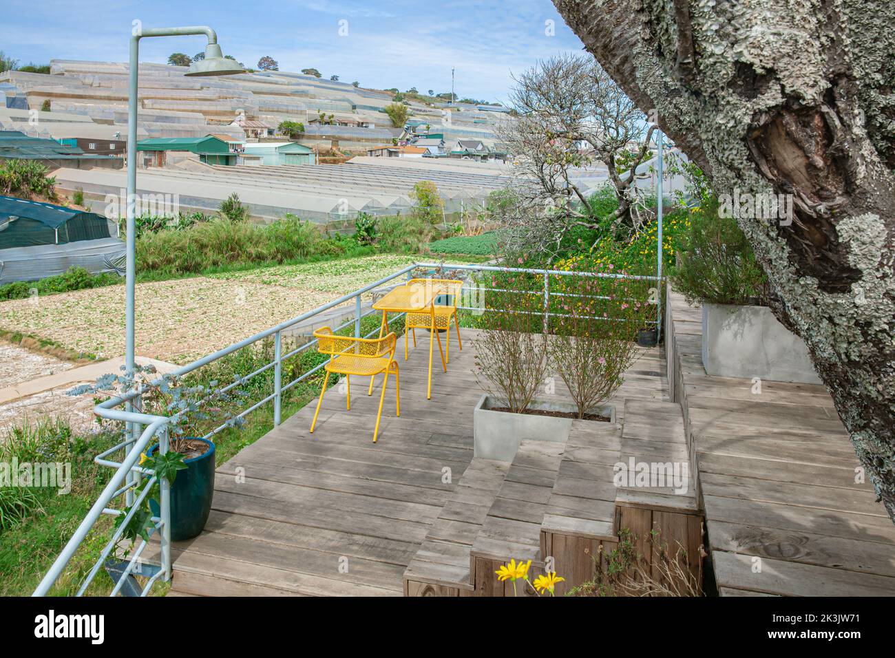 Beautiful landscape with yellow table chair old tree blue sky farm ...