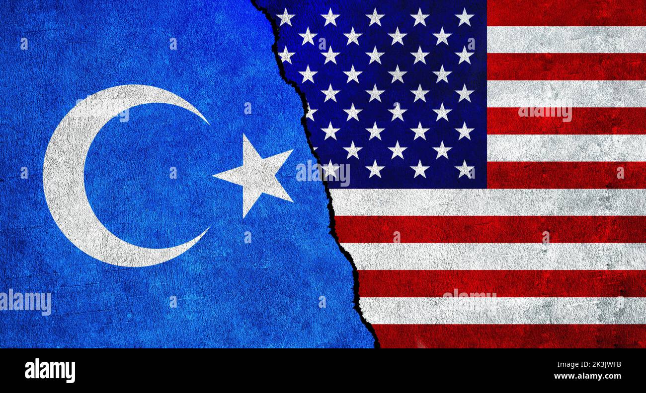 USA and East Turkestan flag together on a textured wall. Relations ...