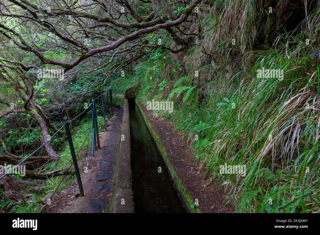 Rabacal, nature hiking area the Levada do Risco levada hiking trail ...