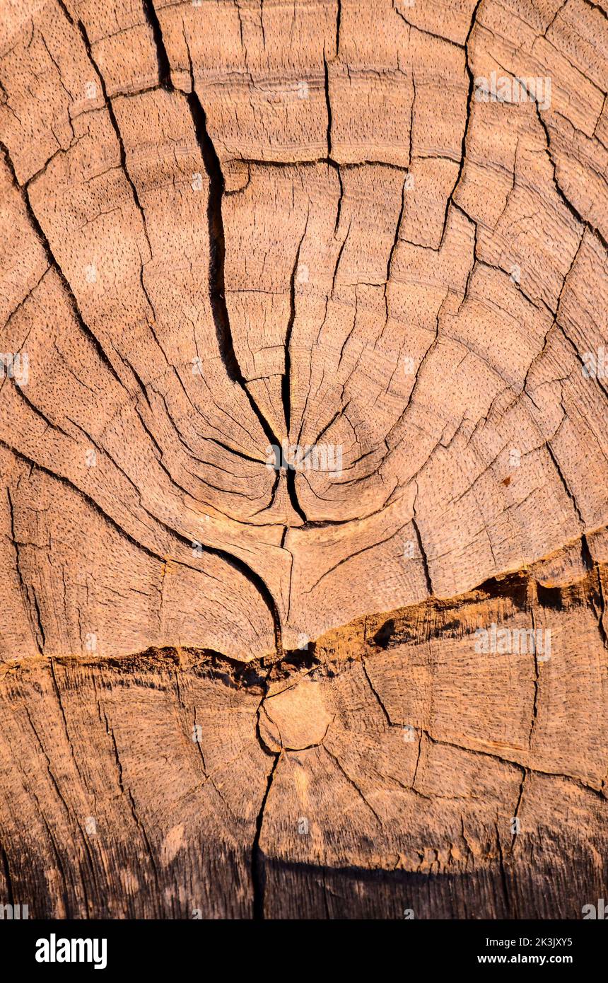 Brown Dry Wood Surface Texture Pattern Background Stock Photo - Alamy