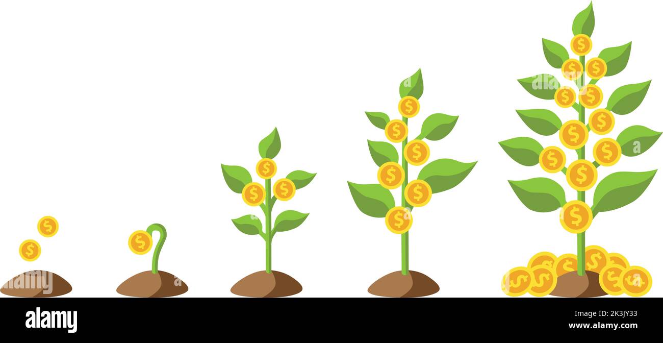 isolated vector graphic illustration of a stylized money plant, growing ...