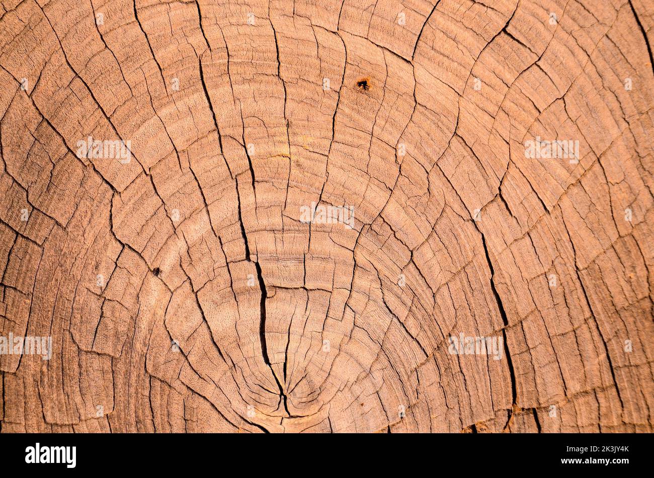 Brown Dry Wood Surface Texture Pattern Background Stock Photo - Alamy