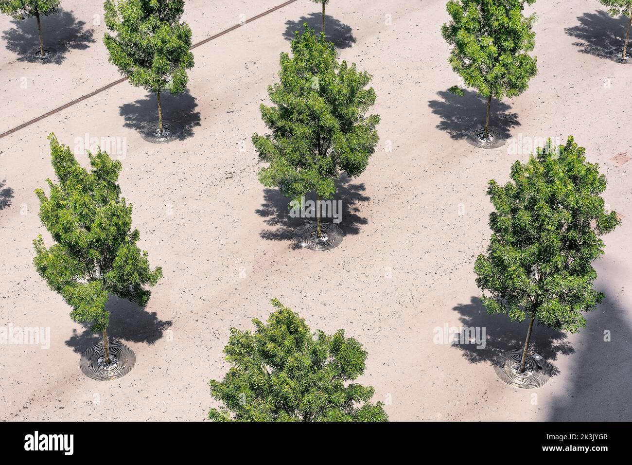 Aerial view of trees and concrete sidewalk on hot summer day at noon ...