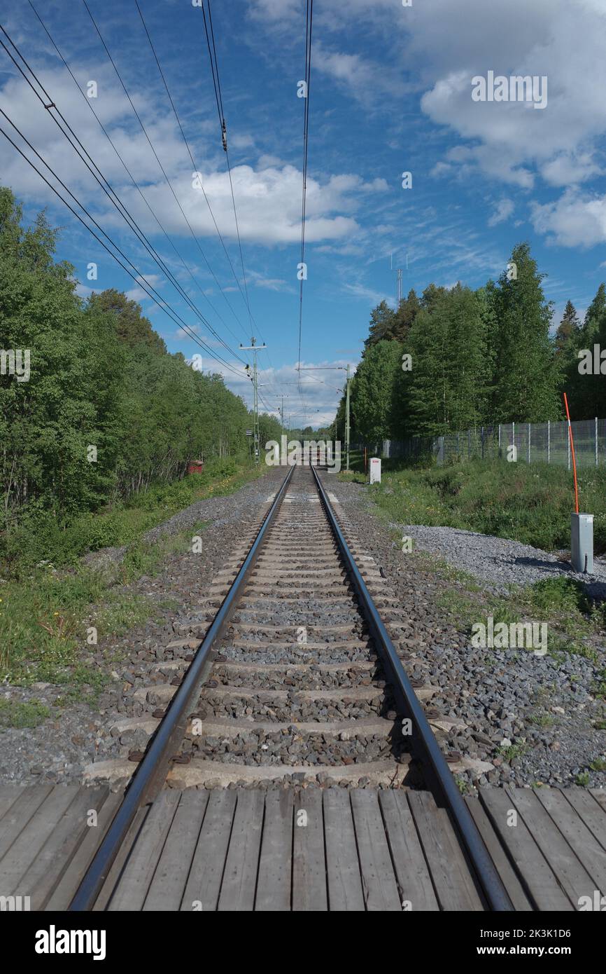 A vertical shot of a railway surrounded by trees with a blue sky ...