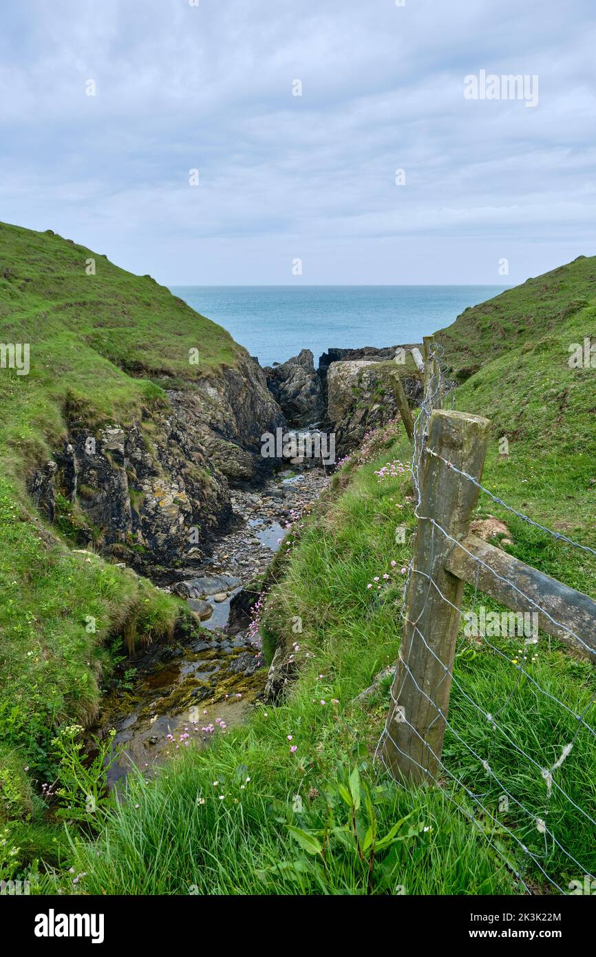 A stream cascades down to the Irish Sea on the Llyn Peninsular along ...