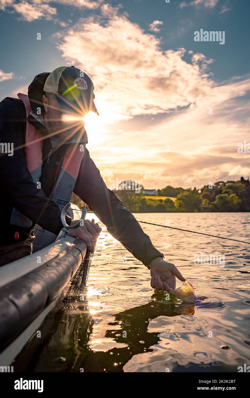Trout fishing on Thornton Reservoir, Leicester, England Stock Photo - Alamy