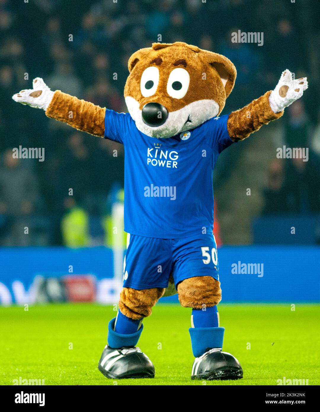 Leicester city mascot hi-res stock photography and images - Alamy