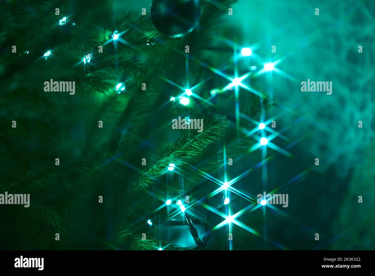 Close up of holiday electric blue garlands on fir branch with Christmas ...