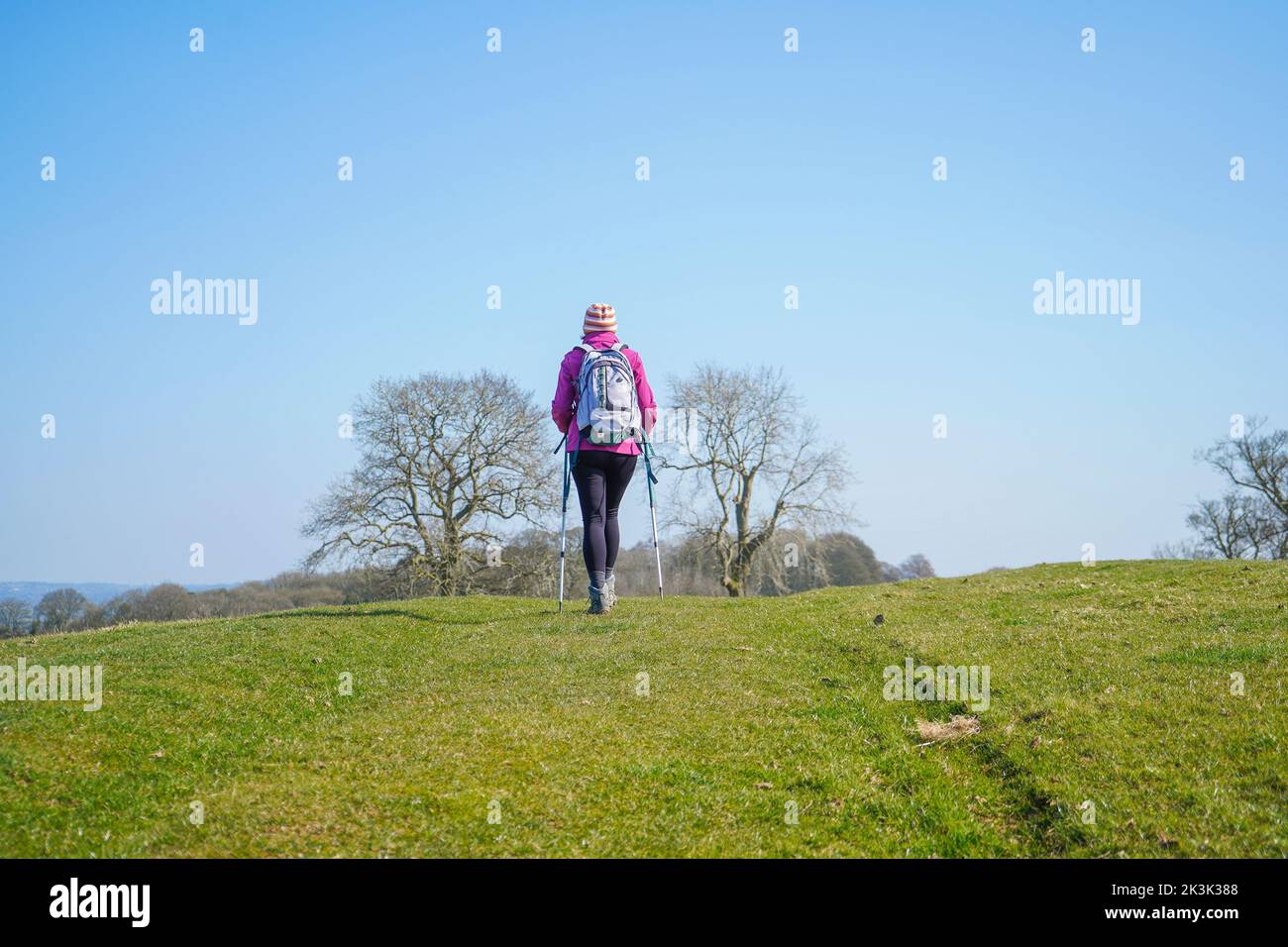 Rear view of female hiker/ rambler with walking poles & rucksack ...