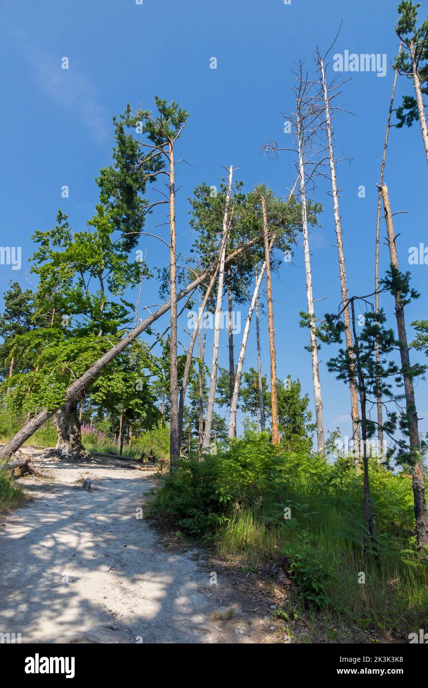 Summer view of Ancient sanctuary Belintash dedicated to the god ...