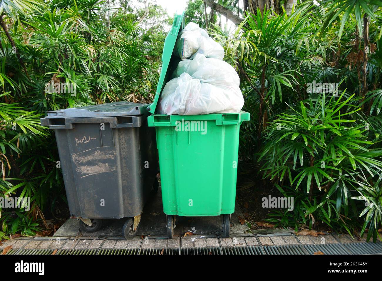 Bag with garbage and rubbish bin Stock Photo - Alamy