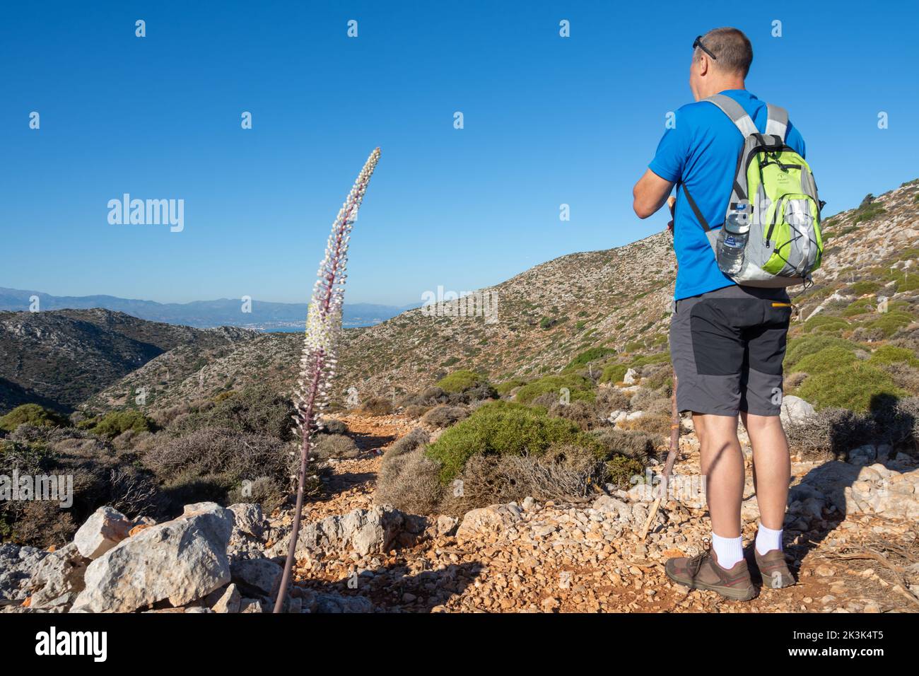 a hiker on a hiking trail in Crete Stock Photo - Alamy