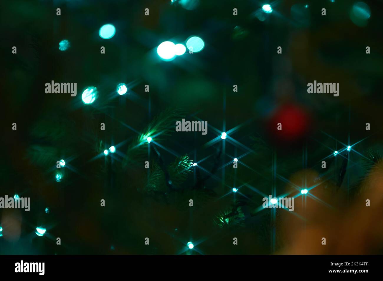 Close up of holiday electric blue garlands on fir branch with Christmas ...