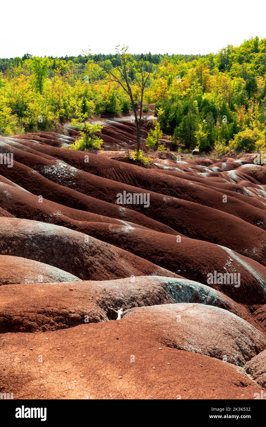 Cheltenham Badlands Caledon Ontario Canada Stock Photo - Alamy