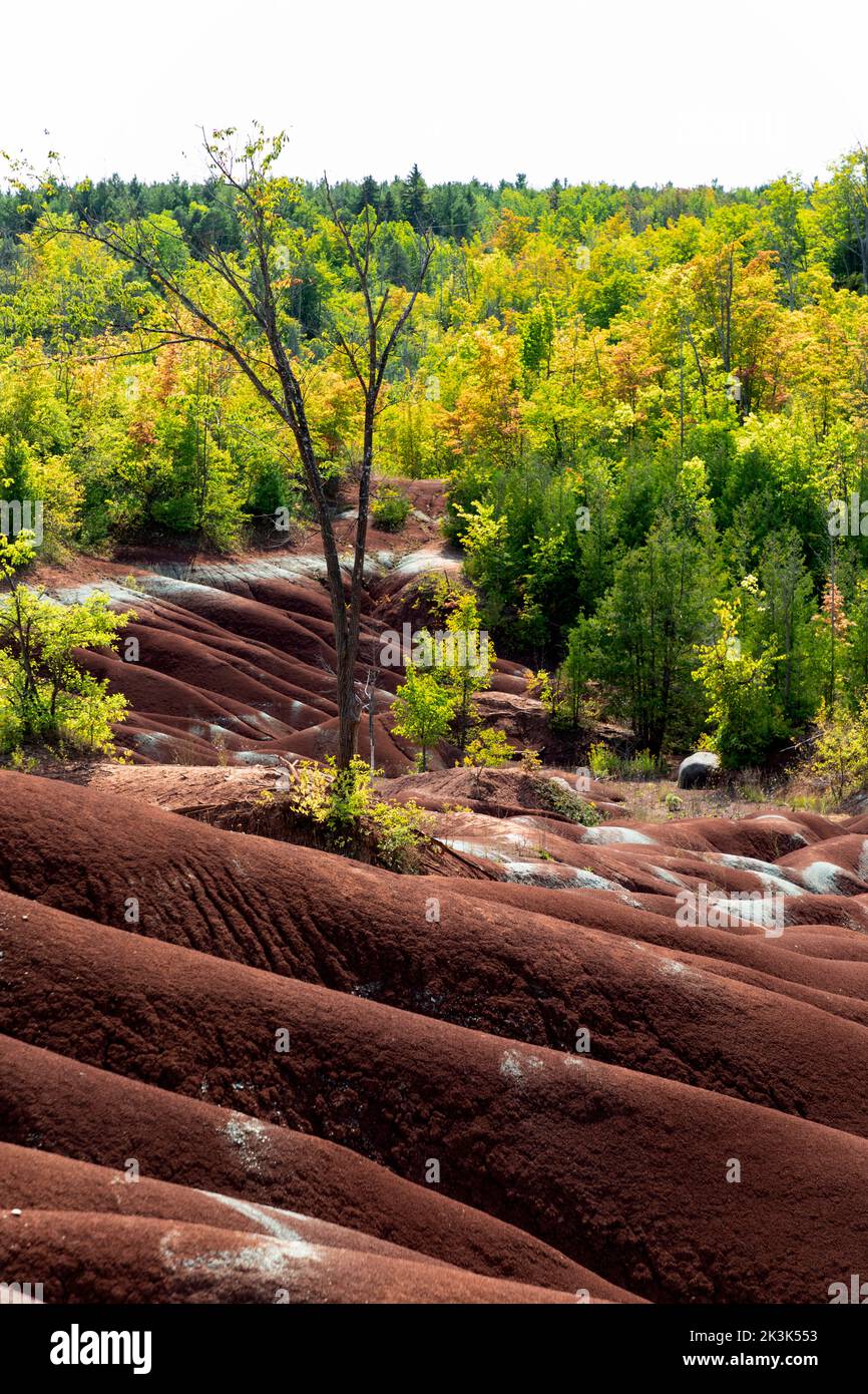 Cheltenham Badlands Caledon Ontario Canada Stock Photo - Alamy